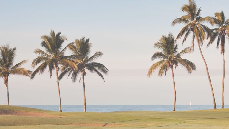 On repeat - Carol CC Miller