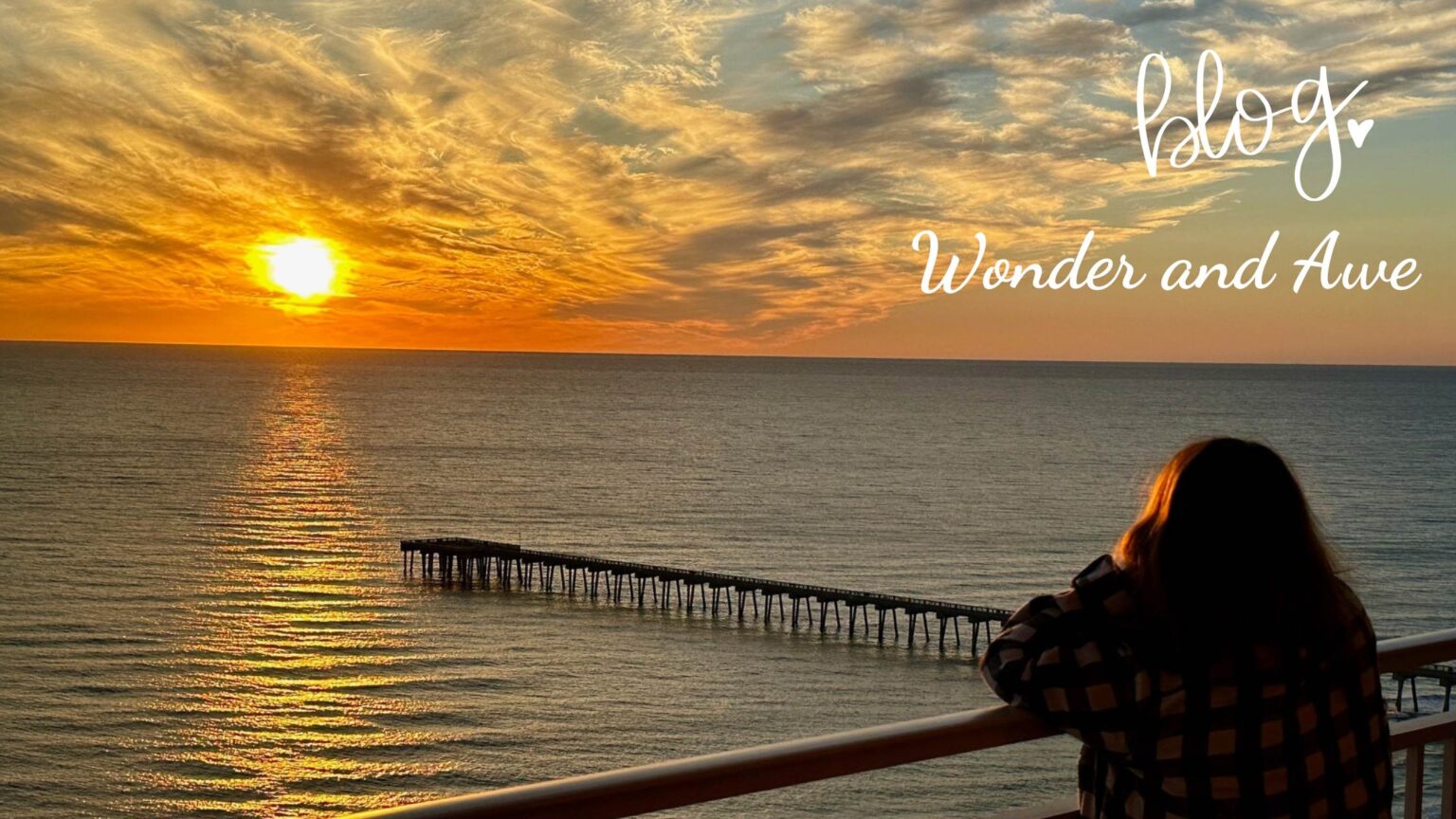 Wonder and Awe - Carol CC Miller