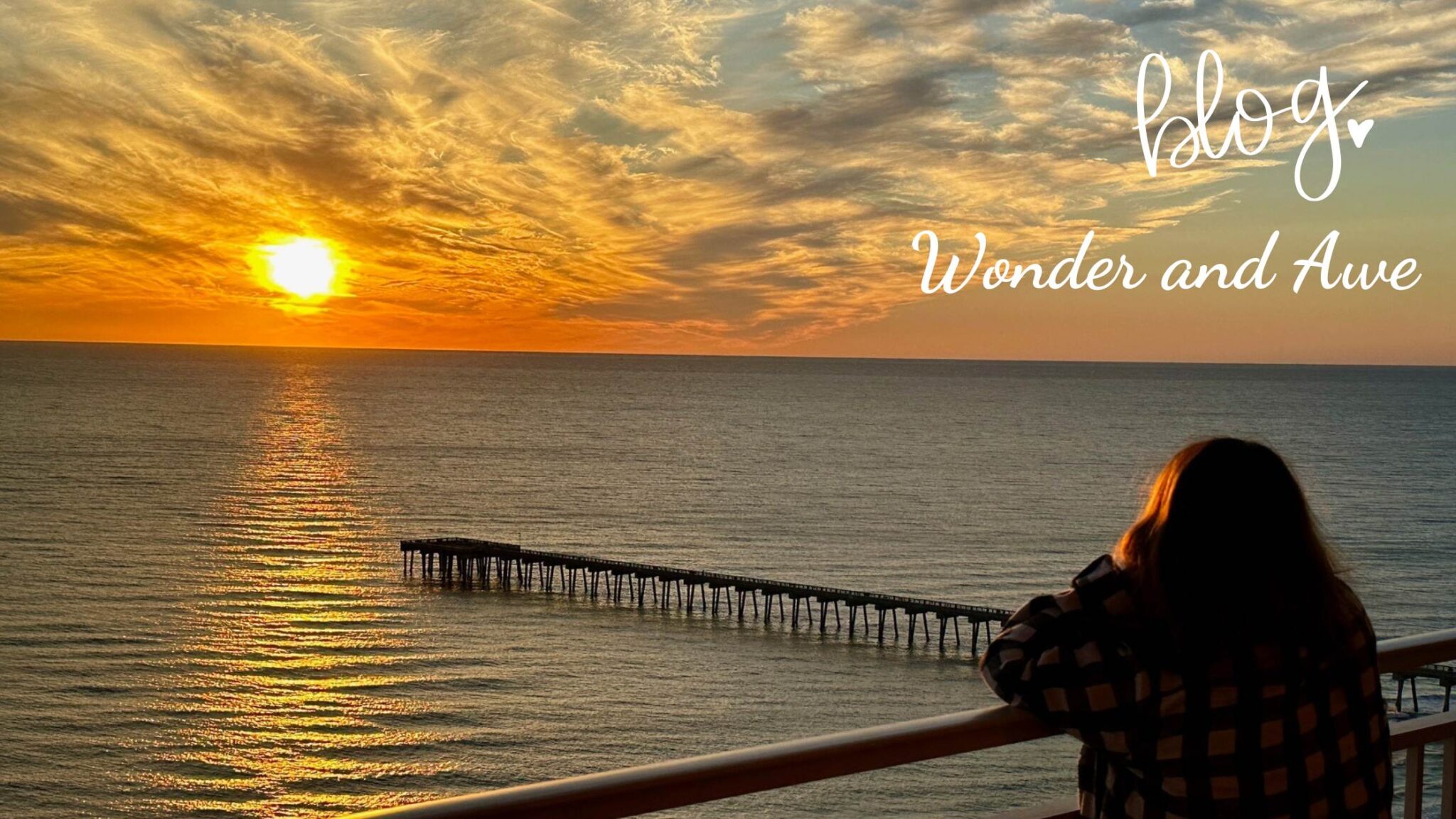 Wonder and Awe - Carol CC Miller